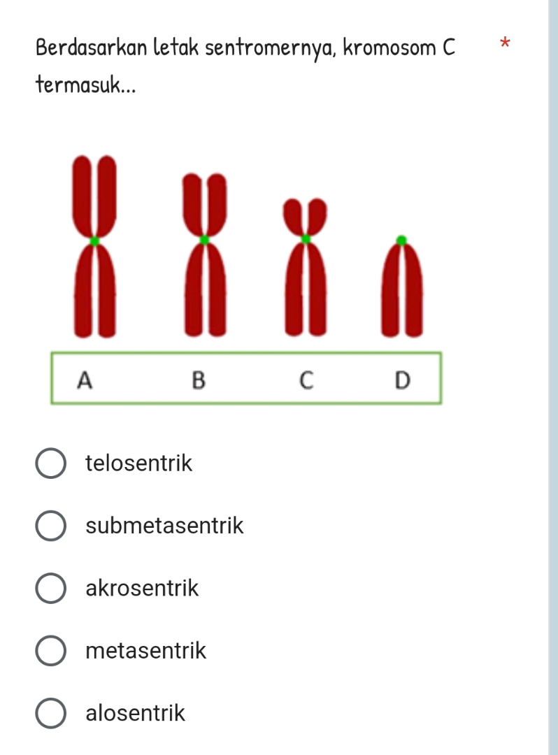 Berdasarkan letak sentromernya kromosom C | StudyX