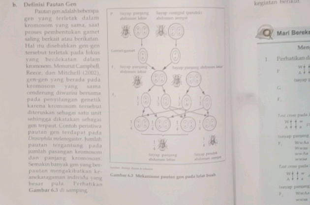 b Definisi Pautan Gen Pautan gen adalah | StudyX