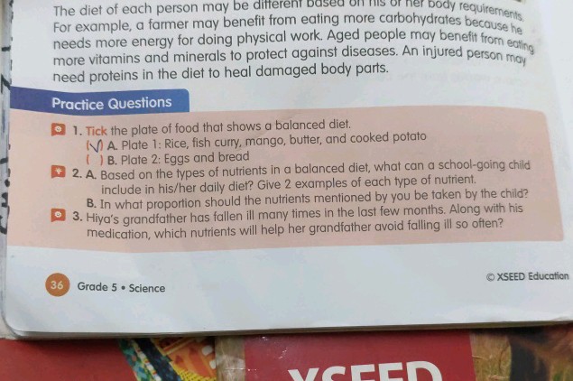 1 Tick the plate of food that shows a balanced diet ( ) A Plate 1 Rice ...