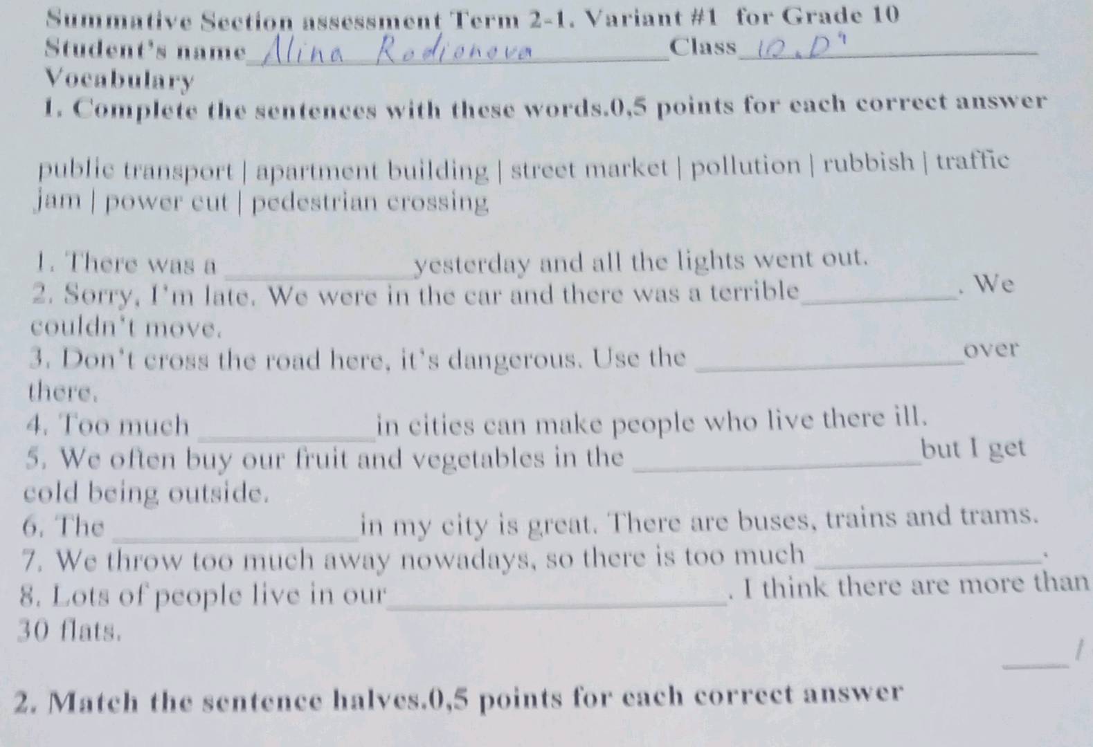 Summative Section assessment Term 2-1 | StudyX