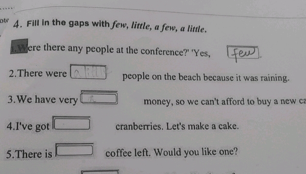 4 Fill in the gaps with few little a few a | StudyX