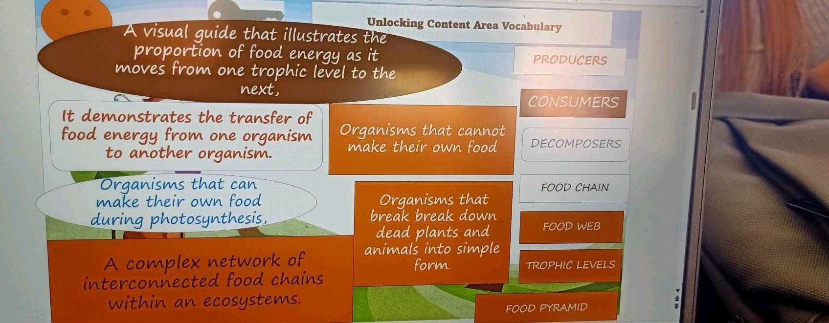 Unlocking Content Area Vocabulary A visual | StudyX