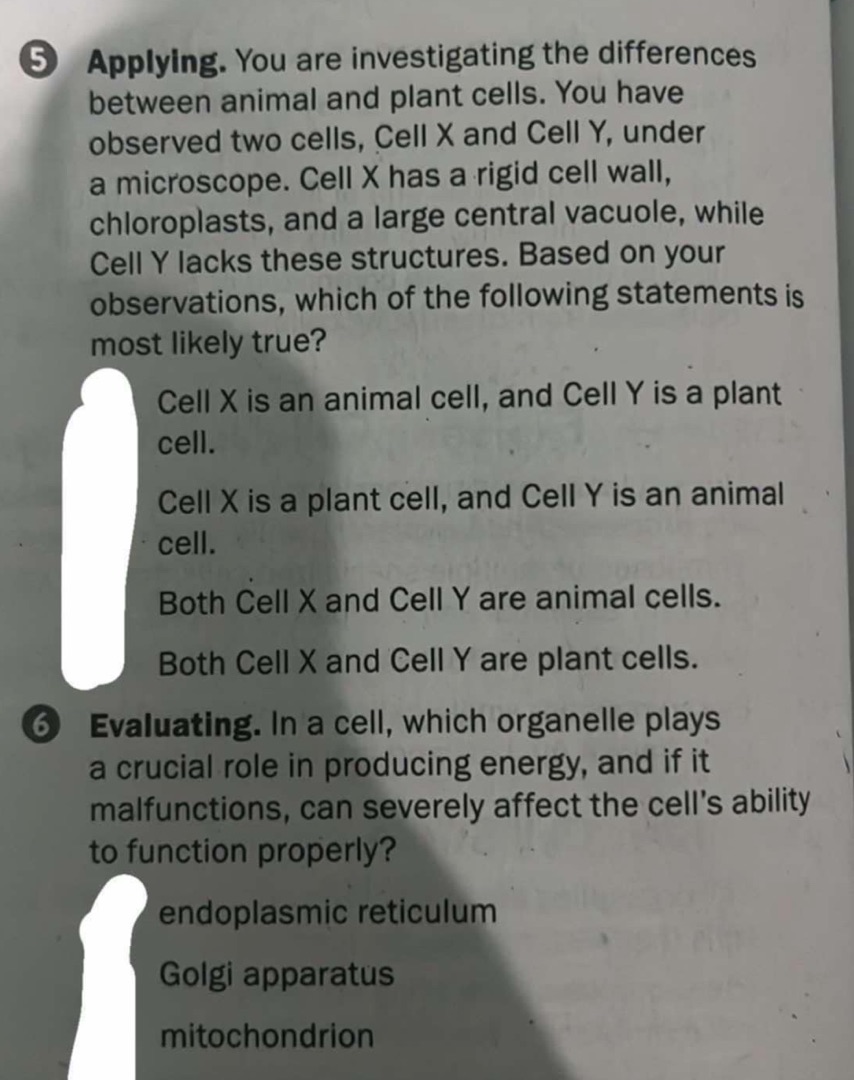 Applying You are investigating the | StudyX
