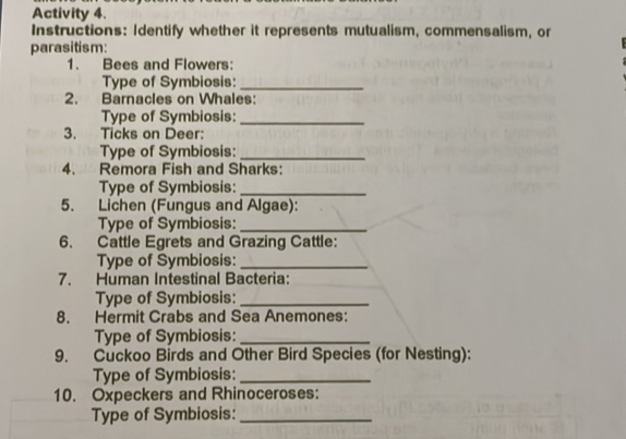 Activity 4 Instructions Identify whether it | StudyX