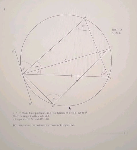 A B C D and E are points on the | StudyX
