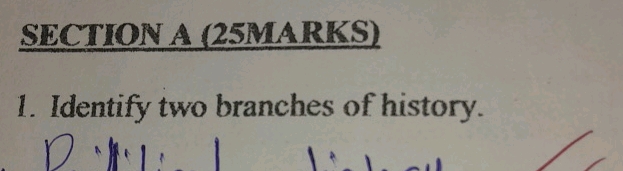 1 Identify two branches of history | StudyX