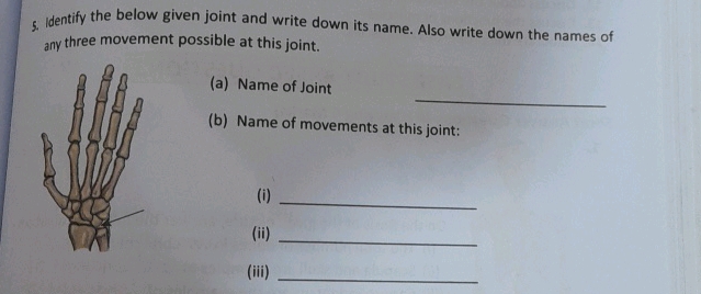 5 Identify the below given joint and write | StudyX