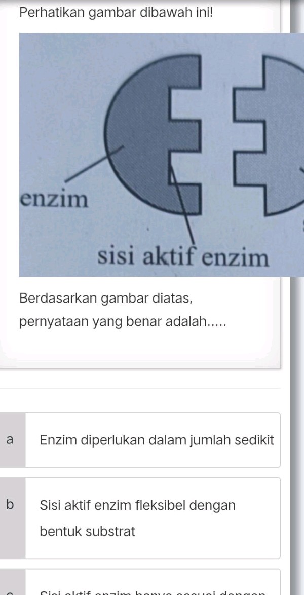 Perhatikan gambar dibawah ini Gambar | StudyX