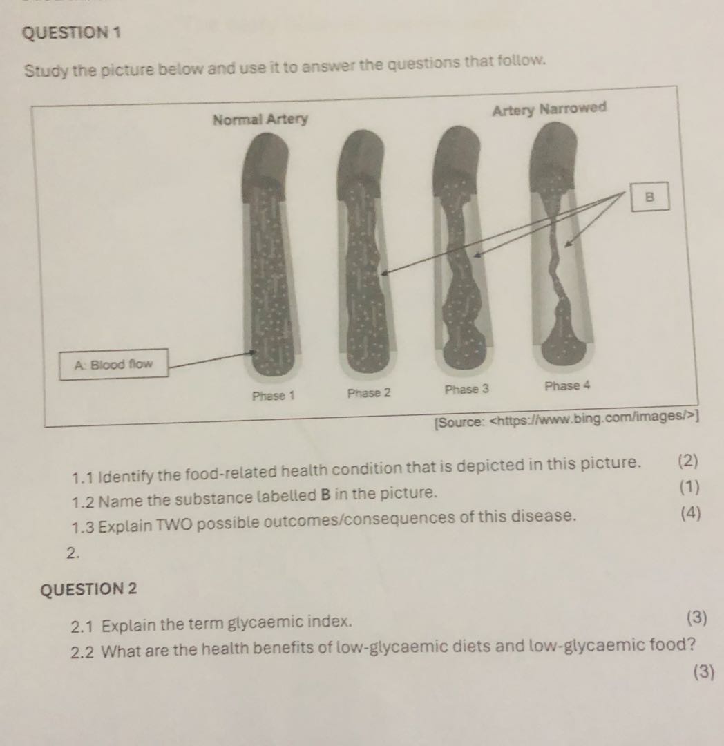 QUESTION 1 Study the picture below and use | StudyX