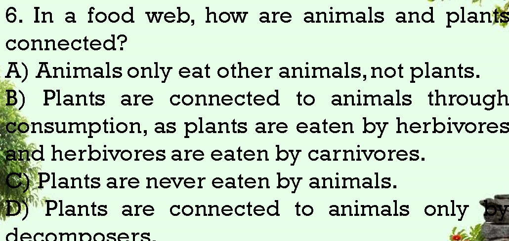 6 In a food web how are animals and plants | StudyX