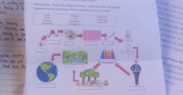 Instructions Study the diagram below Use the | StudyX