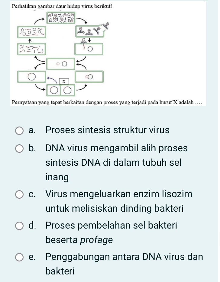 Perhatikan gambar daur hidup virus berikut | StudyX