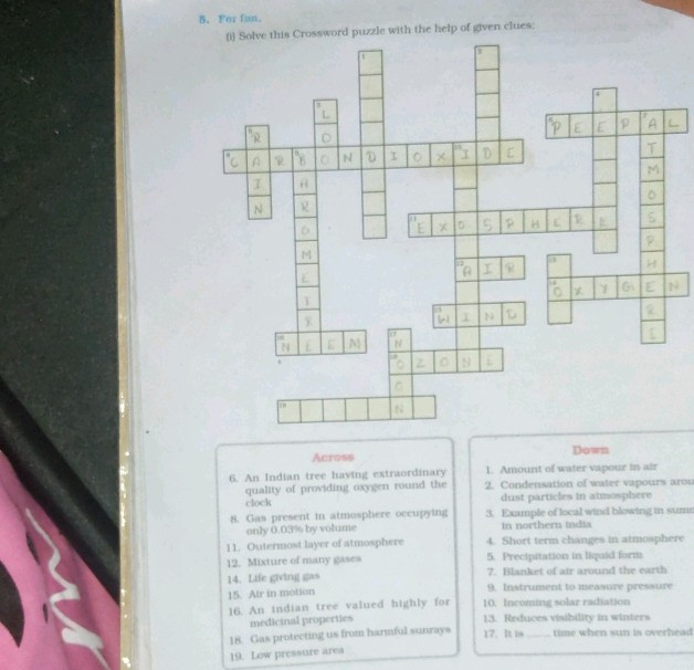 (i) Solve this Crossword puzzle with the | StudyX