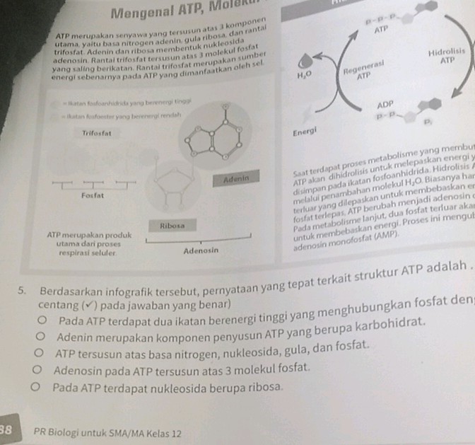Berdasarkan infografik tersebut pernyataan | StudyX