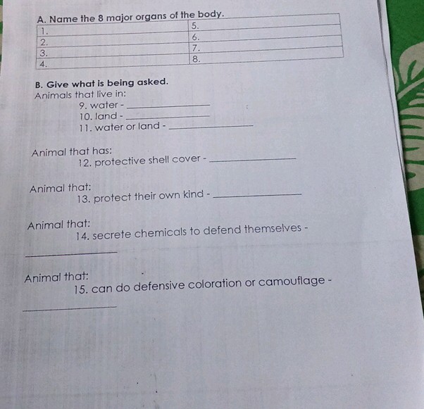 A Name the 8 major organs of the body 1 2 3 | StudyX