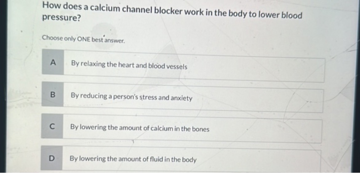 How does a calcium channel blocker work in | StudyX