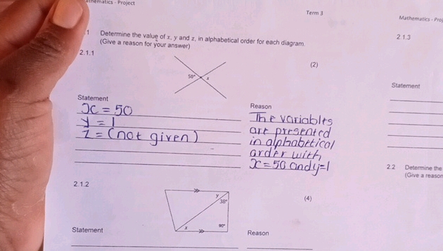 thematics - Project Term 3 Mathematics - | StudyX