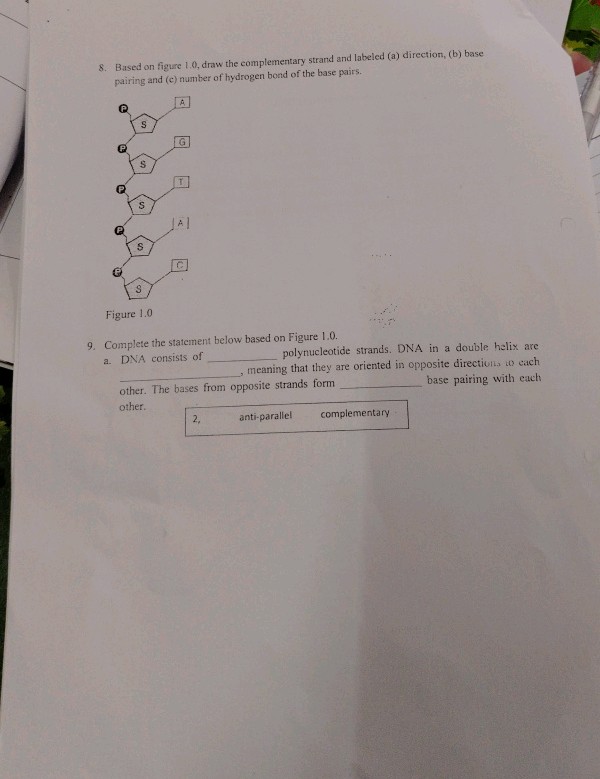 8 Based on figure 10 draw the complementary | StudyX