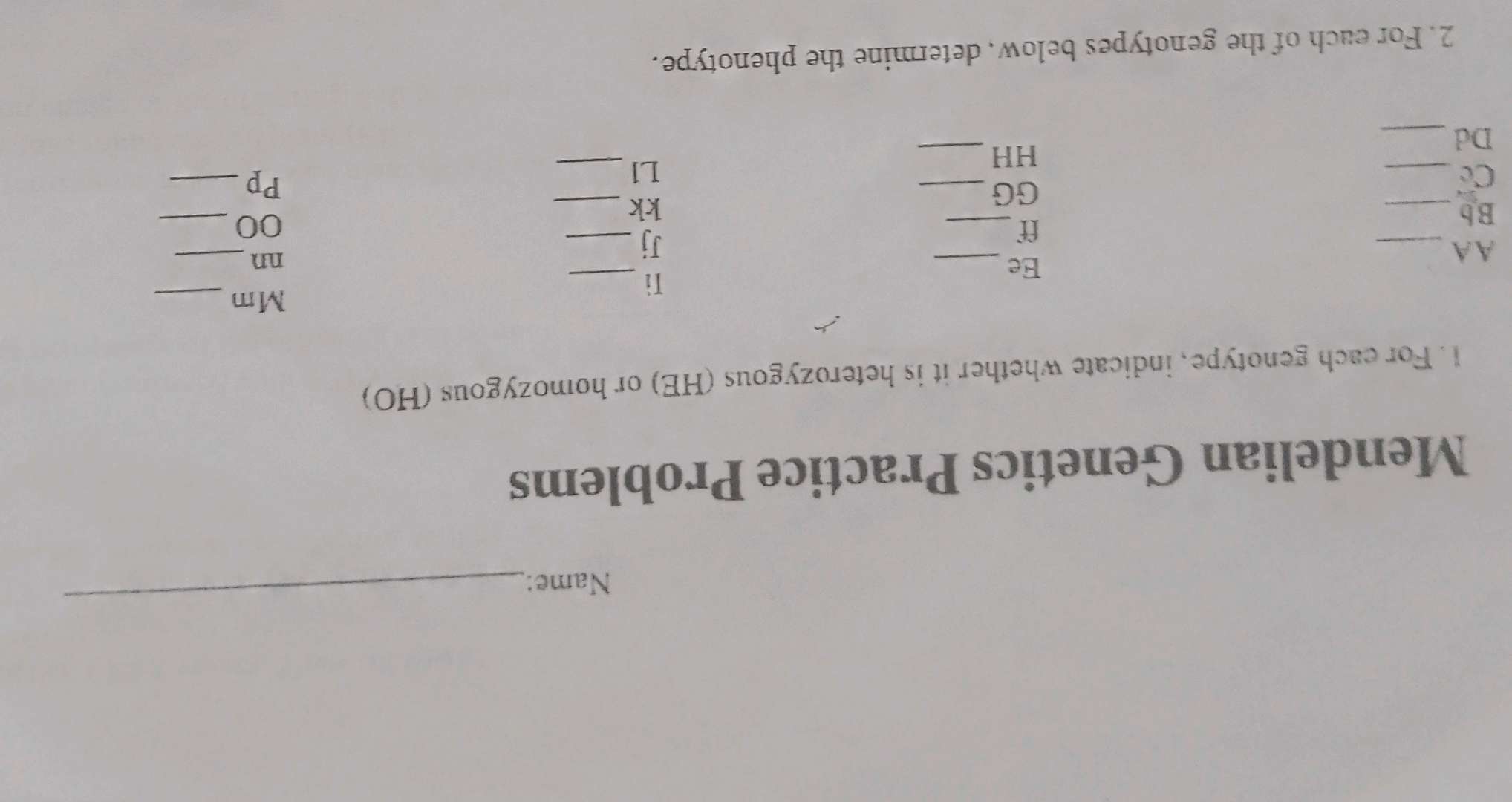Name Mendelian Genetics Practice Problems | StudyX