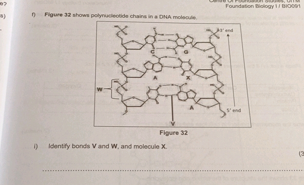 Foundation Biology I / BlO091 s) f) | StudyX