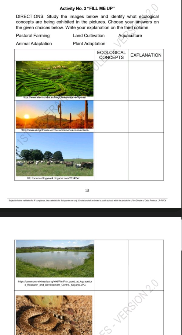 Activity No 3 FILL ME UP DIRECTIONS Study | StudyX