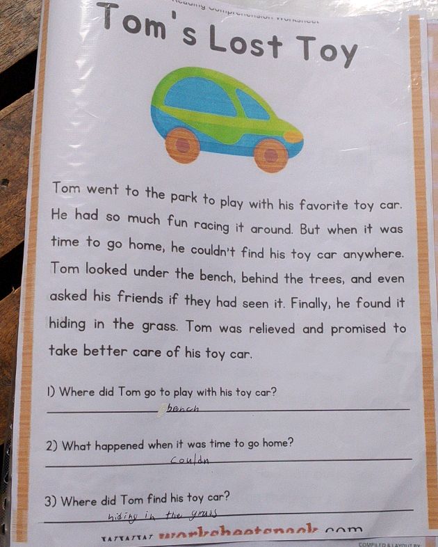 Toms Lost Toy Tom went to the park to play | StudyX