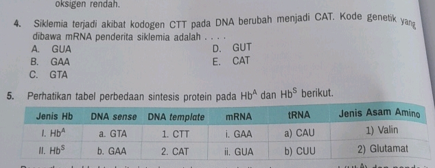 oksigen rendah 4 Siklemia terjadi akibat | StudyX
