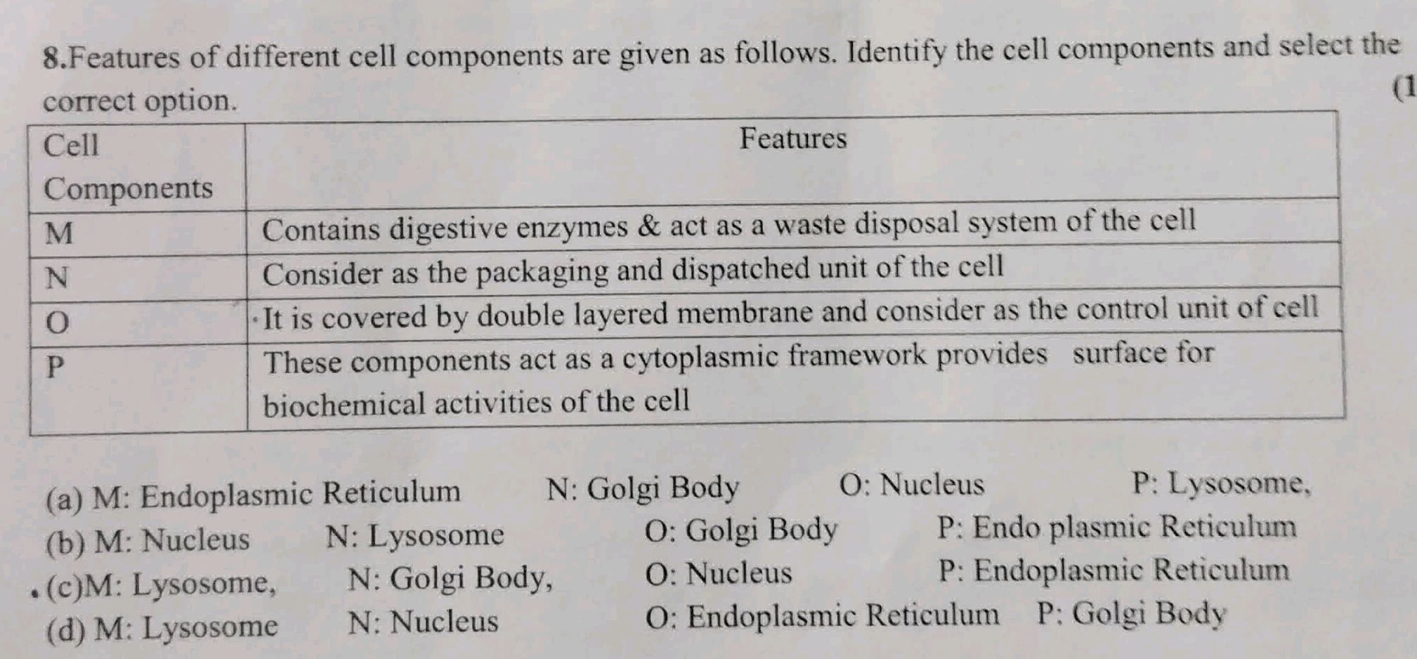 8 Features of different cell components are | StudyX