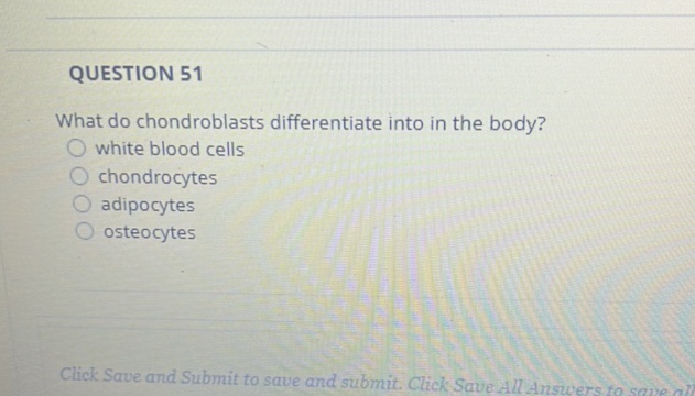 QUESTION 51 What do chondroblasts | StudyX