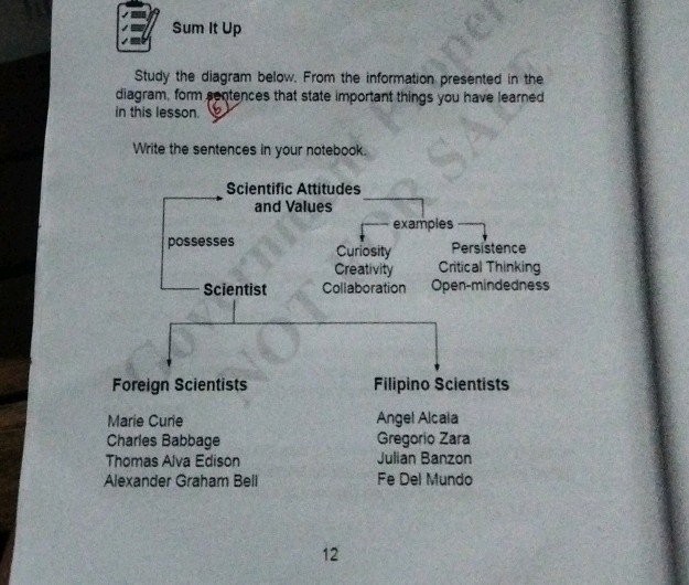 Sum It Up Study the diagram below From the | StudyX