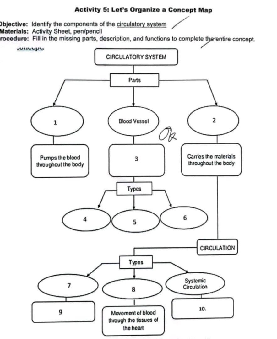 Activity 5 Lets Organize a Concept Map | StudyX