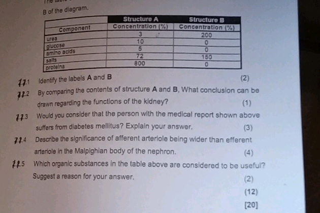B of the diagram lticolumn2c Structure A | StudyX