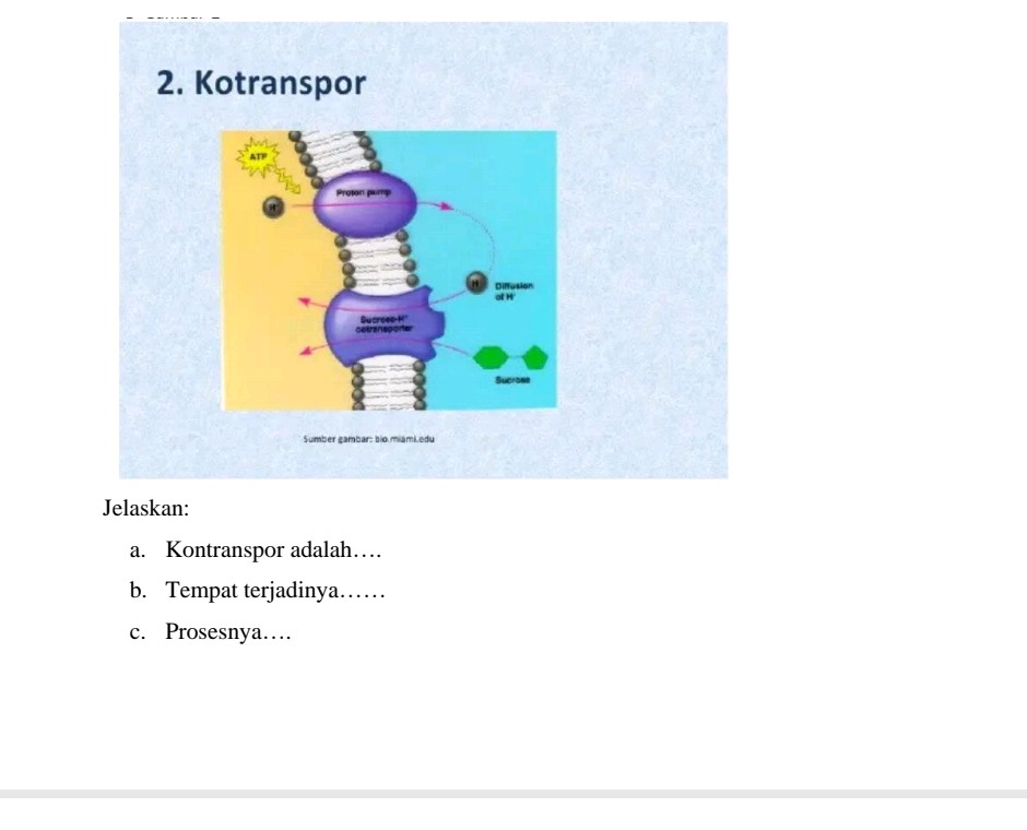 2 Kotranspor Sumber gambar tio miamiedu | StudyX