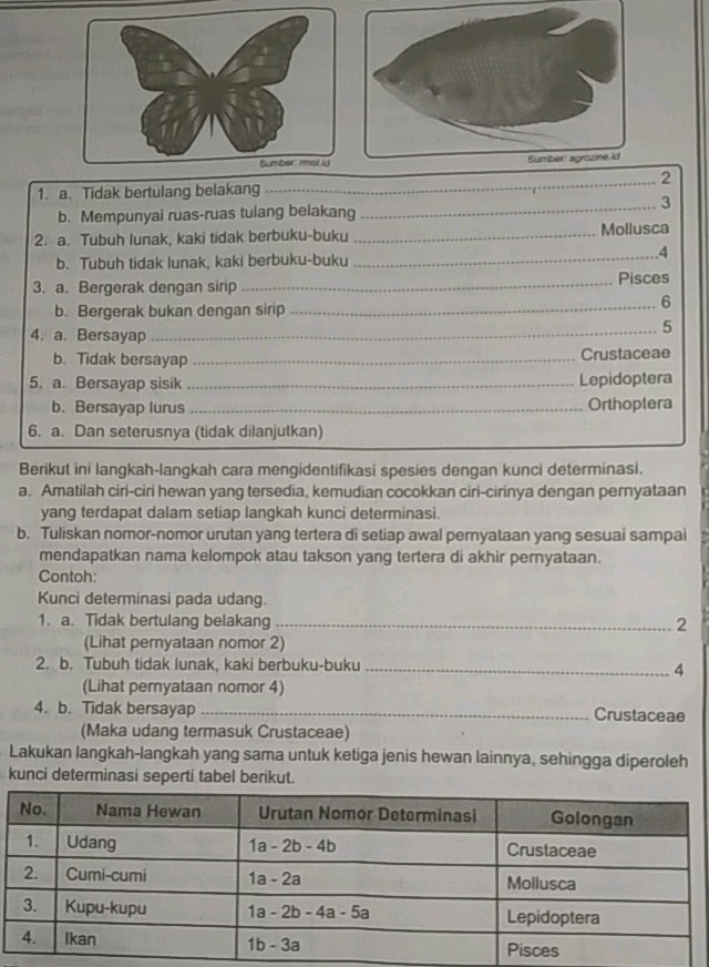 Sumber mol id Sumber agrasine idf 1 a Tidak | StudyX