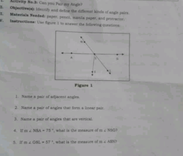 Activity Ne3 Can you Pair my Angle | StudyX