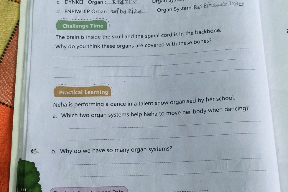 c DYNKEI Organ d ENPIWDIP Organ wind | StudyX