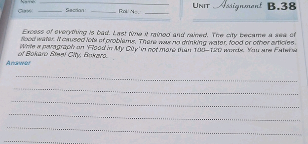 Name Class Section Roll No UNIT Assignment B