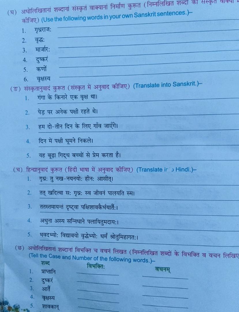 Use the following words in | StudyX