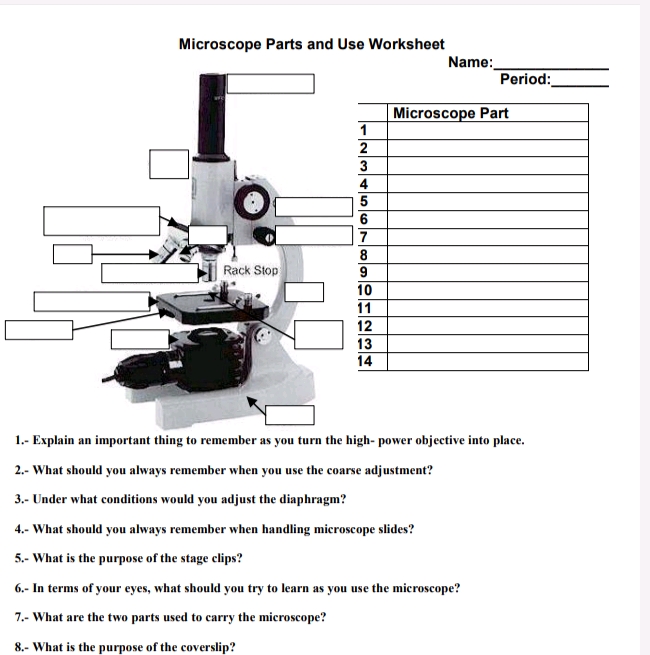 Microscope Parts and Use Worksheet Name | StudyX