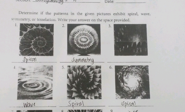 Determine if the patterns in the given | StudyX