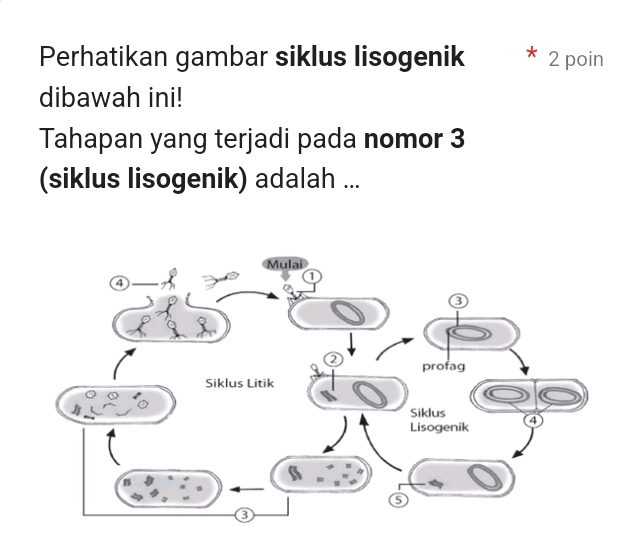 Perhatikan gambar siklus lisogenik 2 poin | StudyX