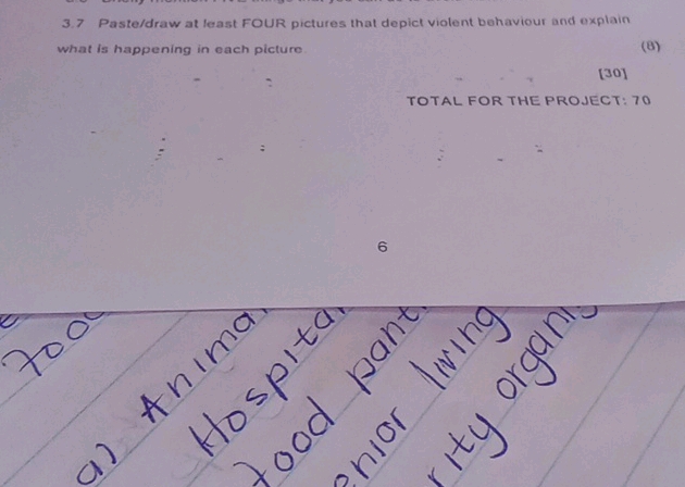 37 Paste/draw at least FOUR pictures that | StudyX