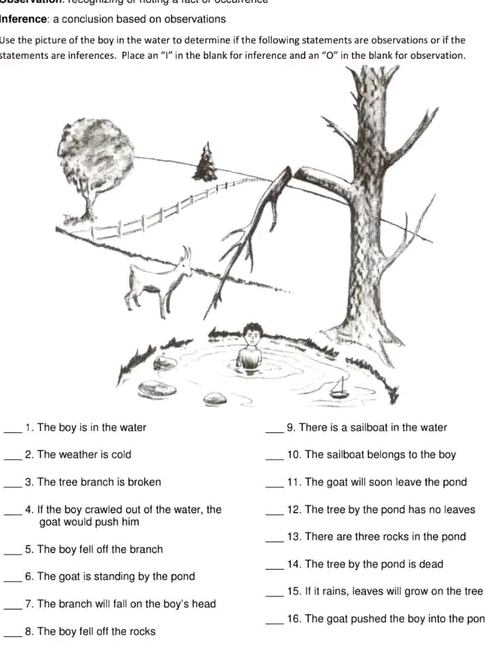 Inference a conclusion based on | StudyX
