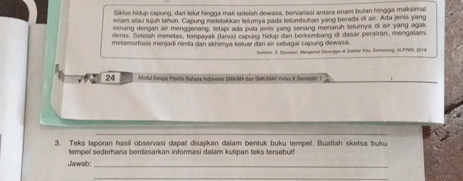 Siktus hidup capung dari tolur hingga mati | StudyX