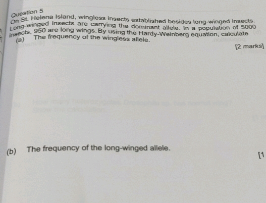 Question 5 On St Helena Island wingless | StudyX