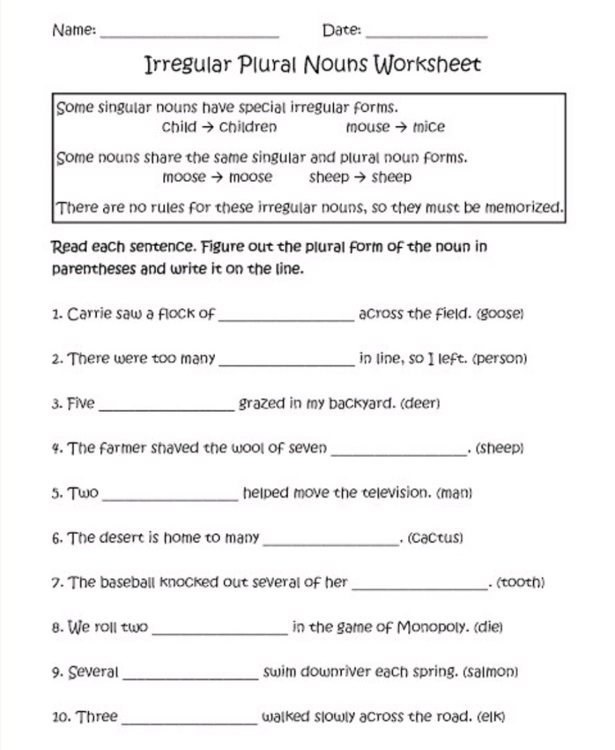 Name Date Irregular Plural Nouns | StudyX