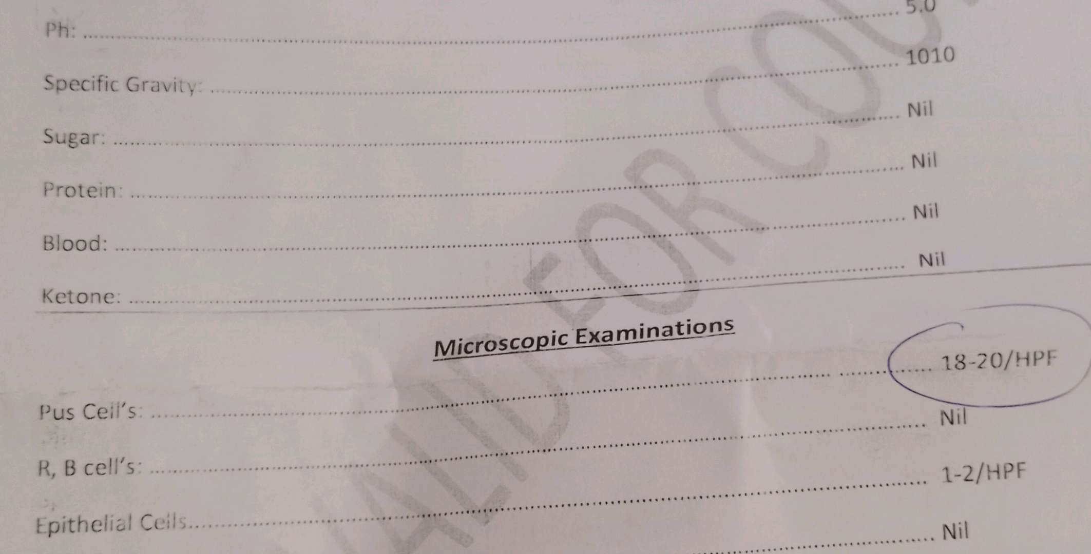 Ph 50 Specific Gravity 1010 Sugar Nil | StudyX