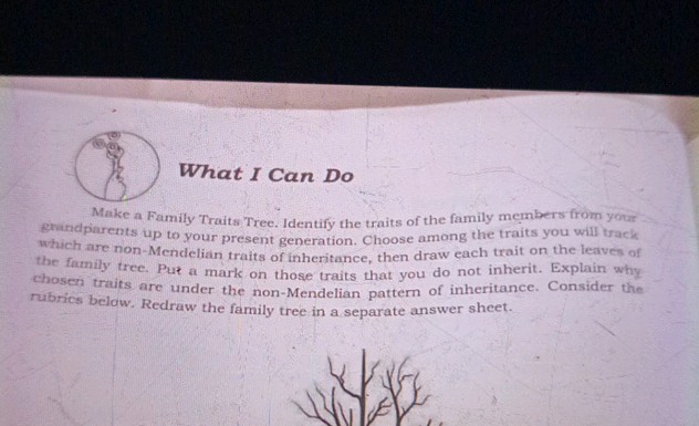 What I Can Do Make a Family Traits Tree | StudyX