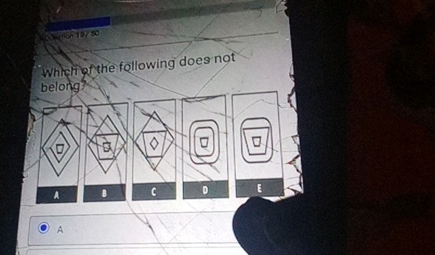 Whichig the following does not belong | StudyX