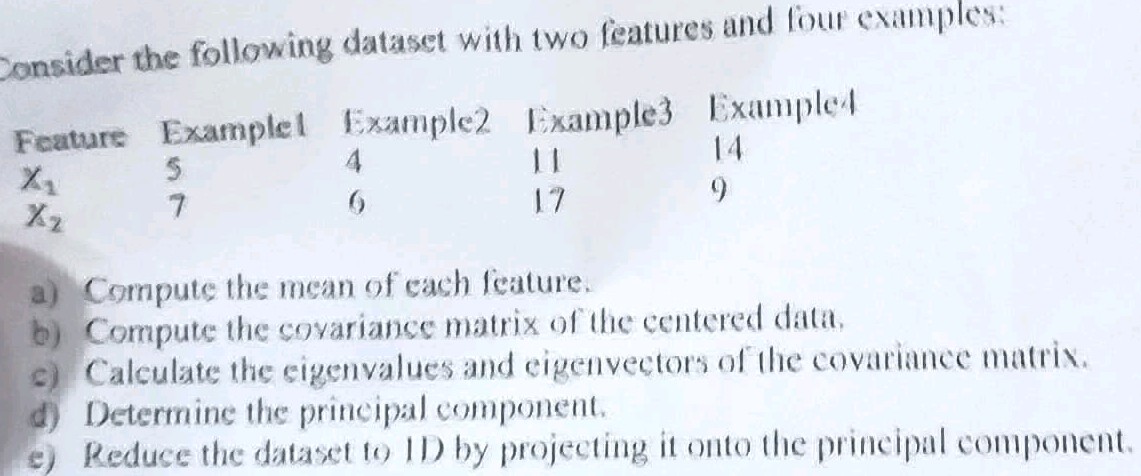 Consider the following dataset with two | StudyX